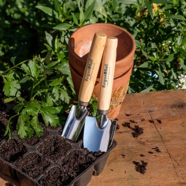 Seed Raising Tools – Backyard Botanist