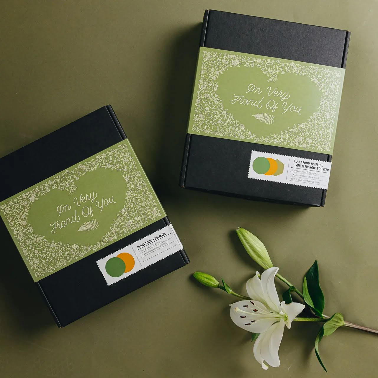 Valentine's Day Gift Ideas for Plant Lovers – Backyard Botanist