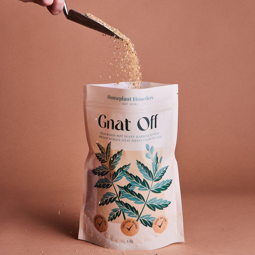 Gnat Off! Fungus Gnat Barrier – Backyard Botanist