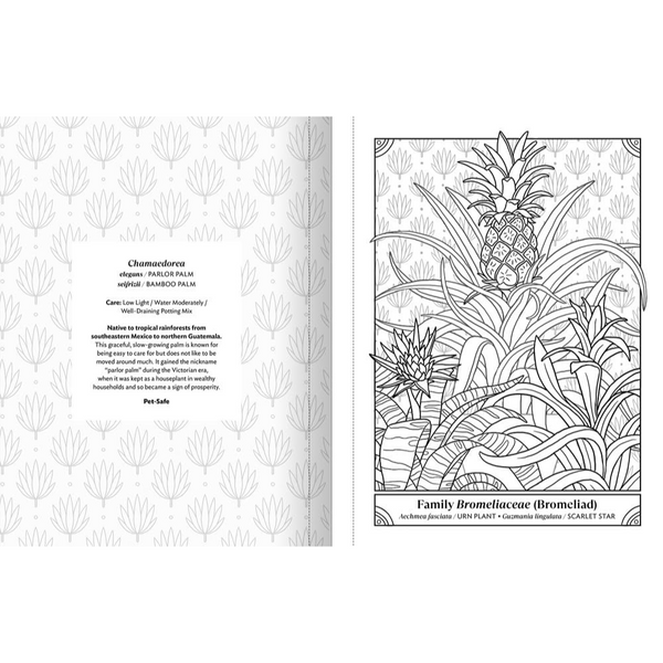 The Happy Houseplant Coloring Book – Backyard Botanist