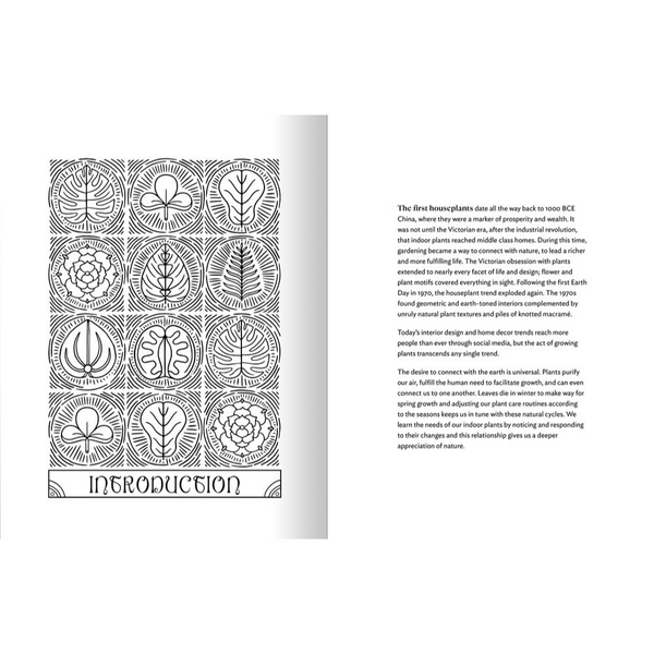 The Happy Houseplant Coloring Book – Backyard Botanist