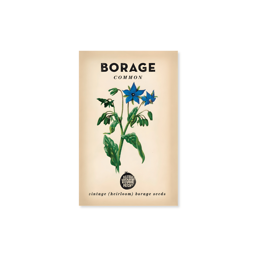 Borage 'Common' Heirloom Seeds - Little Veggie Patch Co – Backyard Botanist