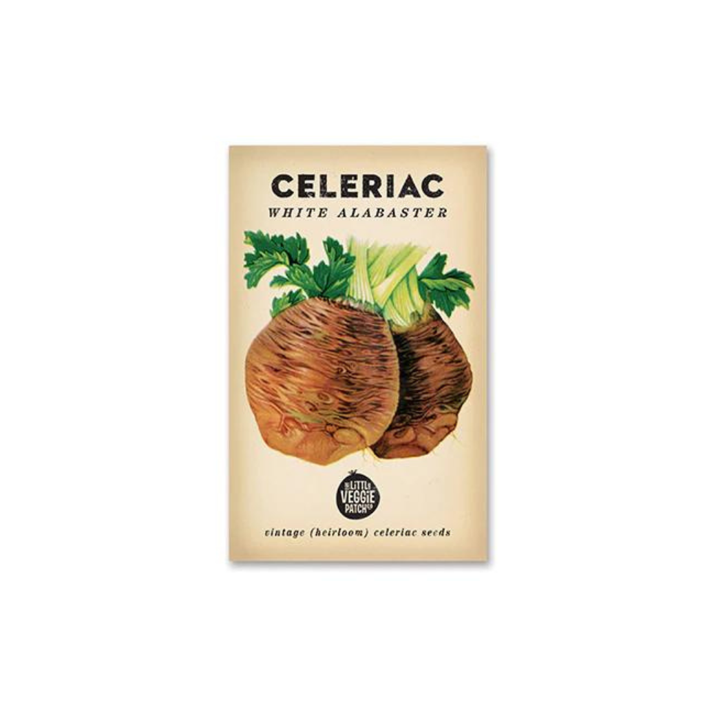 Celeriac 'White Alabaster' Heirloom Seeds - Little Veggie Patch Co ...