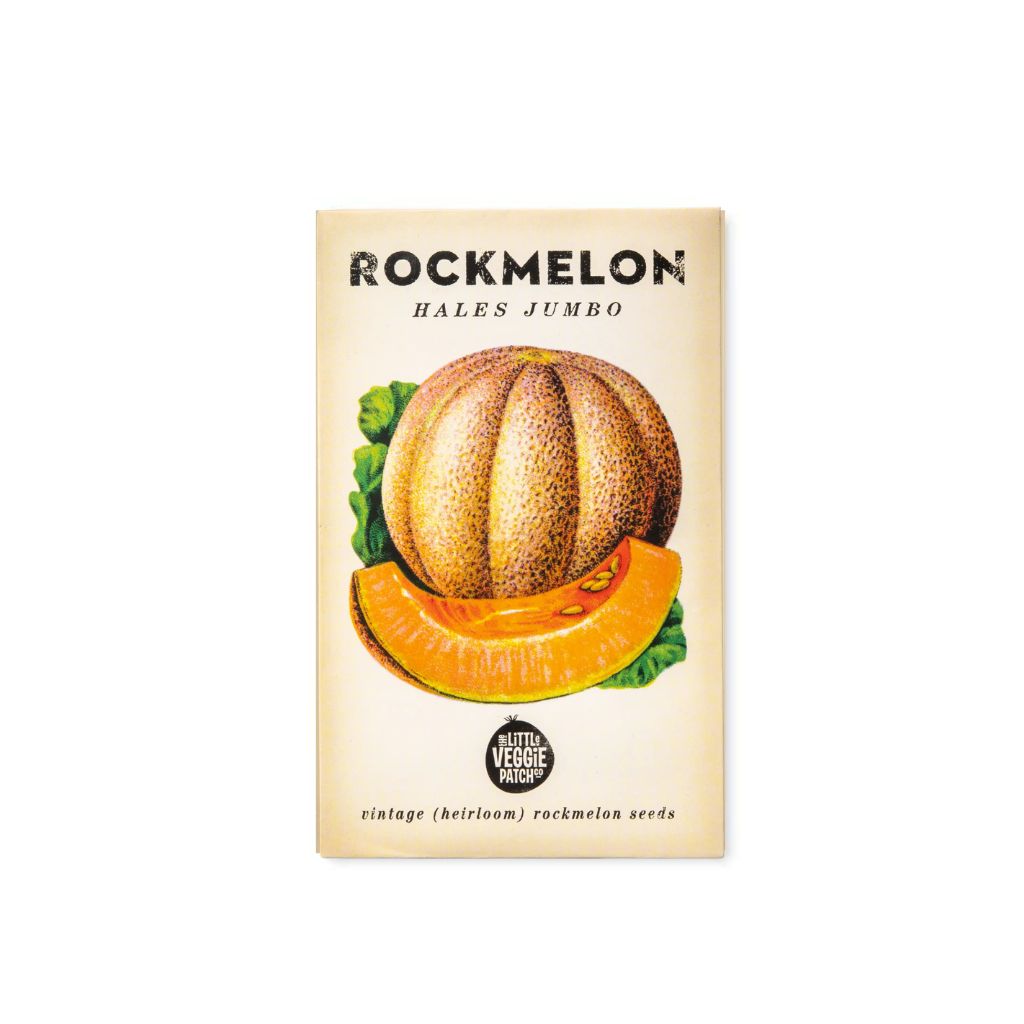 Rockmelon 'Hales Jumbo' Heirloom Seeds - Little Veggie Patch Co ...