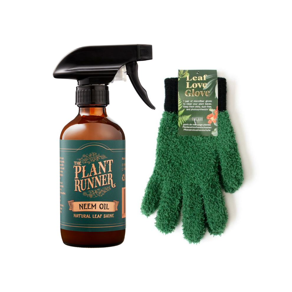 Indoor Plant Leaf Shine Bundle – Backyard Botanist