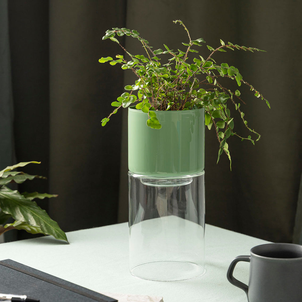 Studio Milligram Glass Flip Planter Tall, Clear/Sage – Backyard Botanist