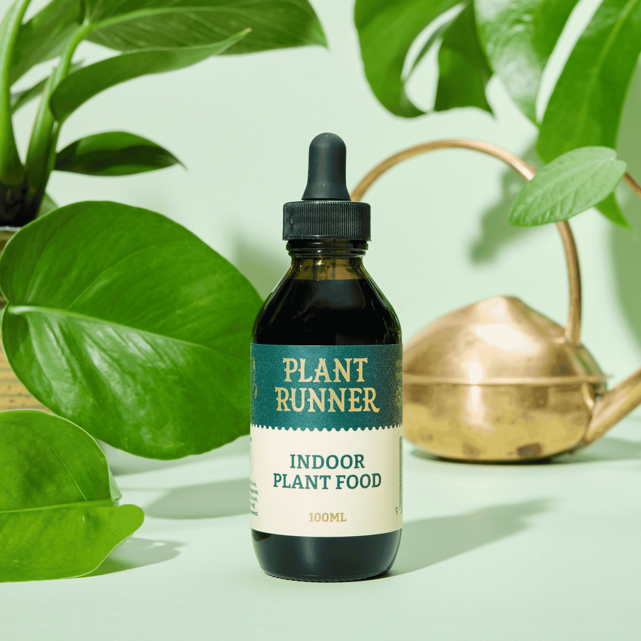 Plant Runner Indoor Plant Food | Organic Liquid Fertiliser – Backyard ...
