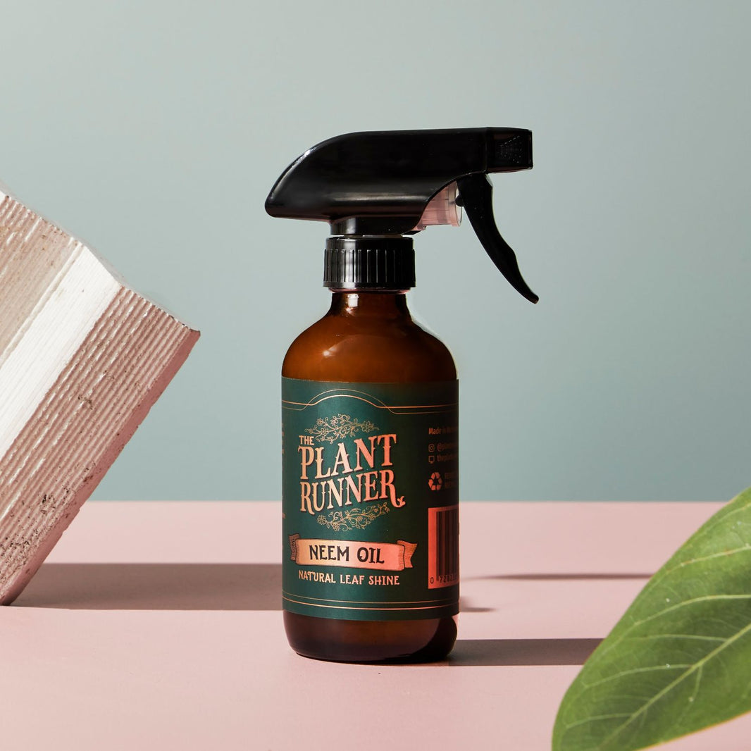 Bundles & Kits for Plant Lovers | Perfect Gift Sets for Green Thumbs ...