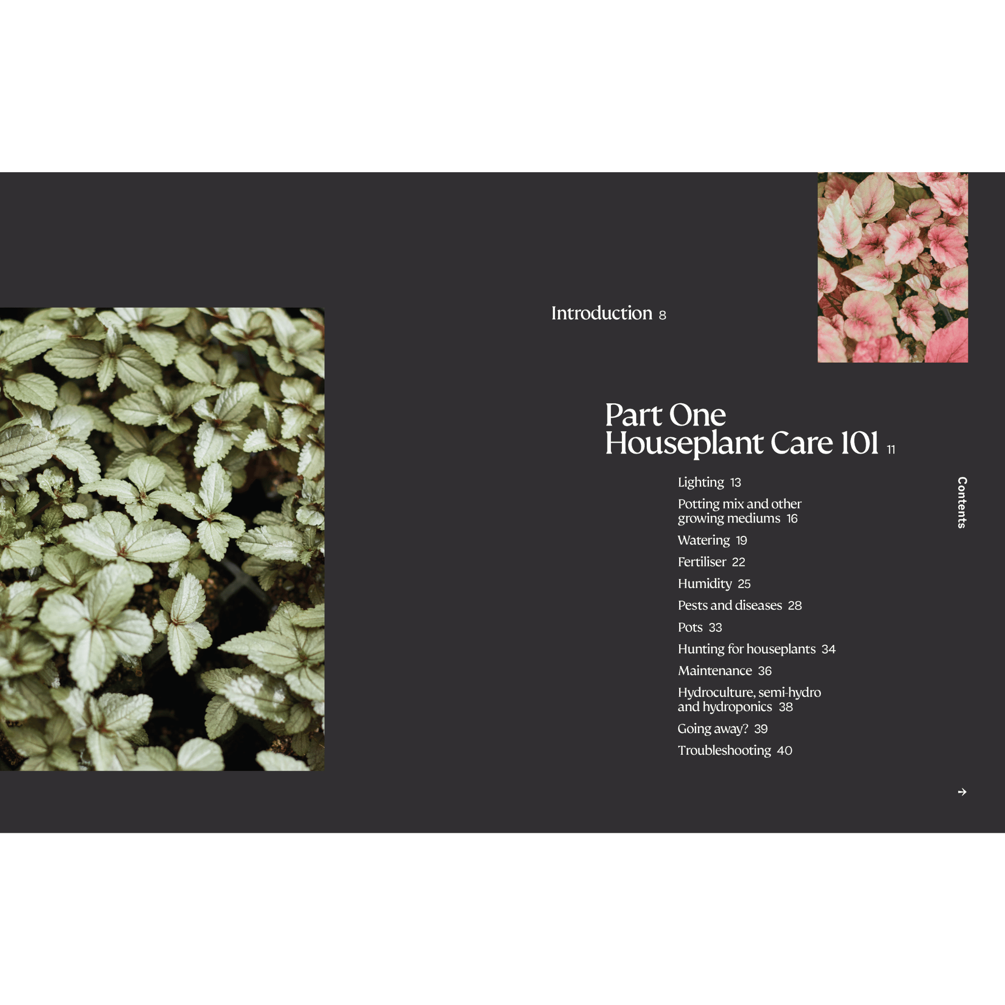 Books on Plants & Gardening – Backyard Botanist