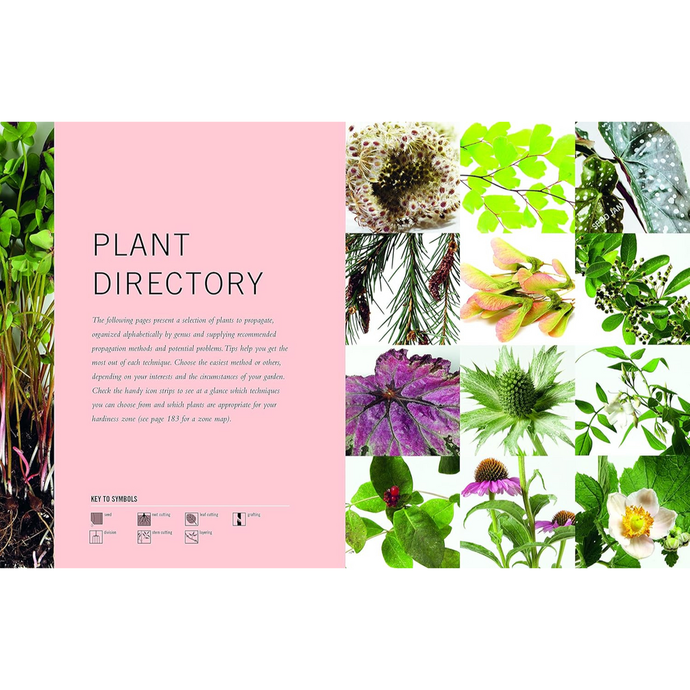 The Plant Propagator’s Bible: A Step-by-Step Guide to Propagating ...