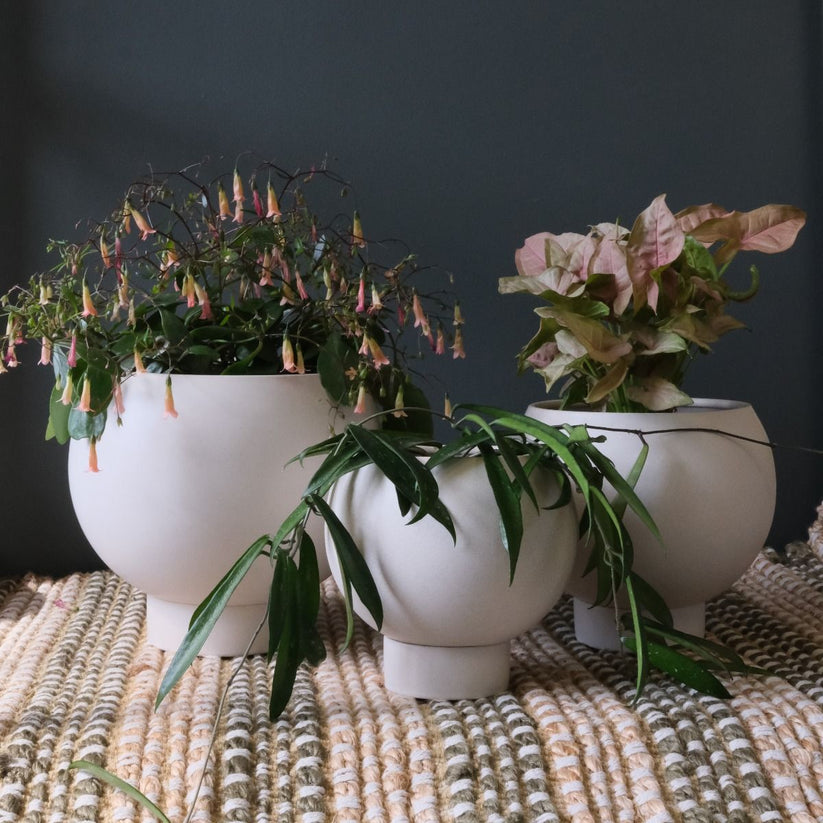 Potted Orbit Planter, Oatmeal – Backyard Botanist