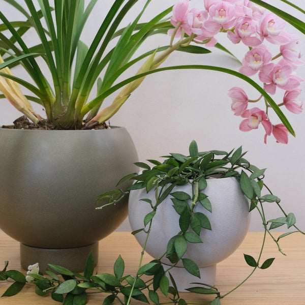 Potted Orbit Planter, Oatmeal – Backyard Botanist