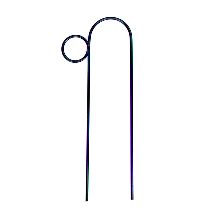 Bump Mini Plant Stake, Black – Backyard Botanist