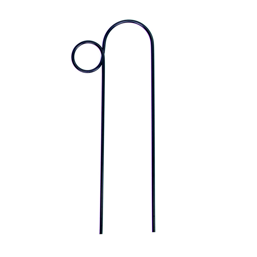 Bump Mini Plant Stake, Black – Backyard Botanist