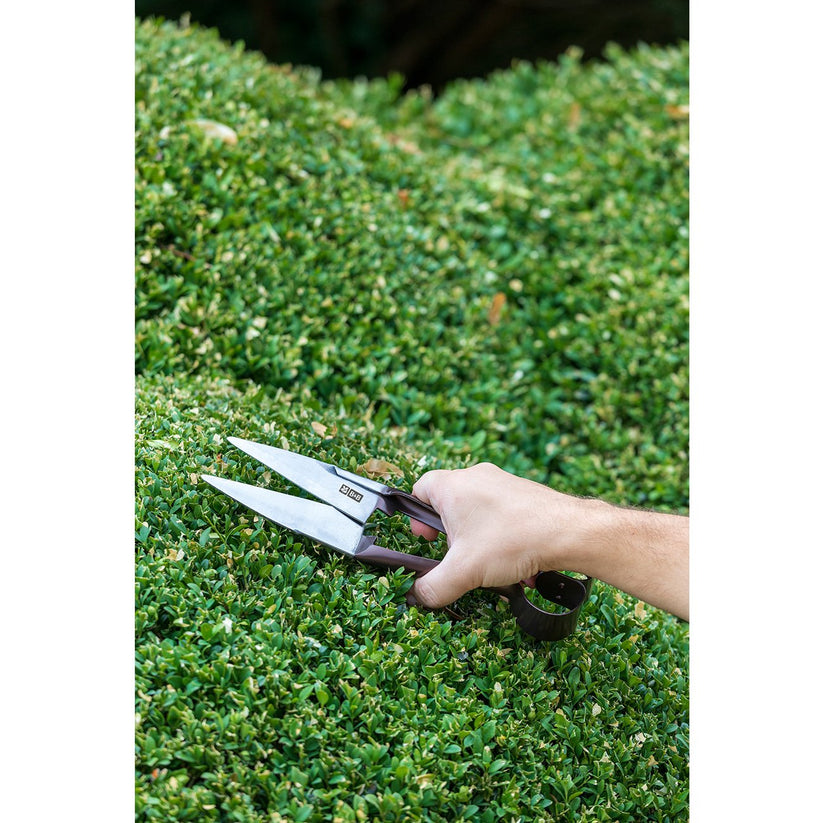 Burgon & Ball National Trust Topiary Shear – Backyard Botanist
