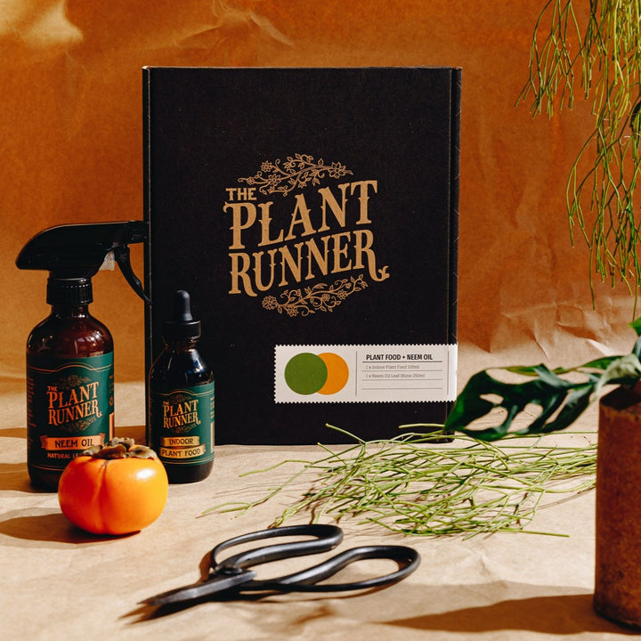 Bundles & Kits for Plant Lovers | Perfect Gift Sets for Green Thumbs ...